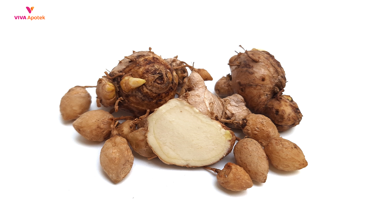Wajib Tahu, Ini 6 Manfaat Kunyit Putih Bagi Kesehatan Tubuh - VIVA Apotek